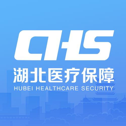 湖北医保缴费app官方