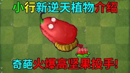 植物大战僵尸红色坚果修改器无删减福利版