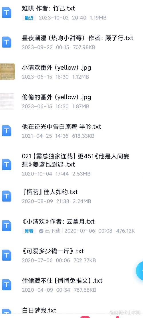 txt小说网盘资源永不升级版