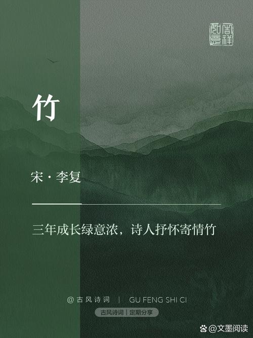竹子小说