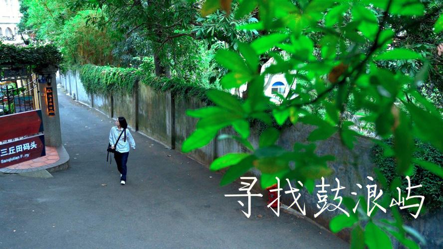 雏鸟vlogpro防走失