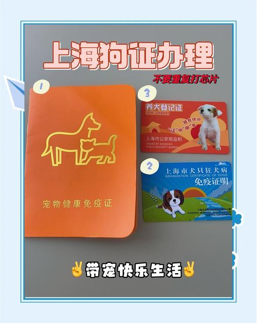 上海网上办狗证麦道辅助踢腿