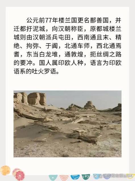 楼兰小说论坛手机