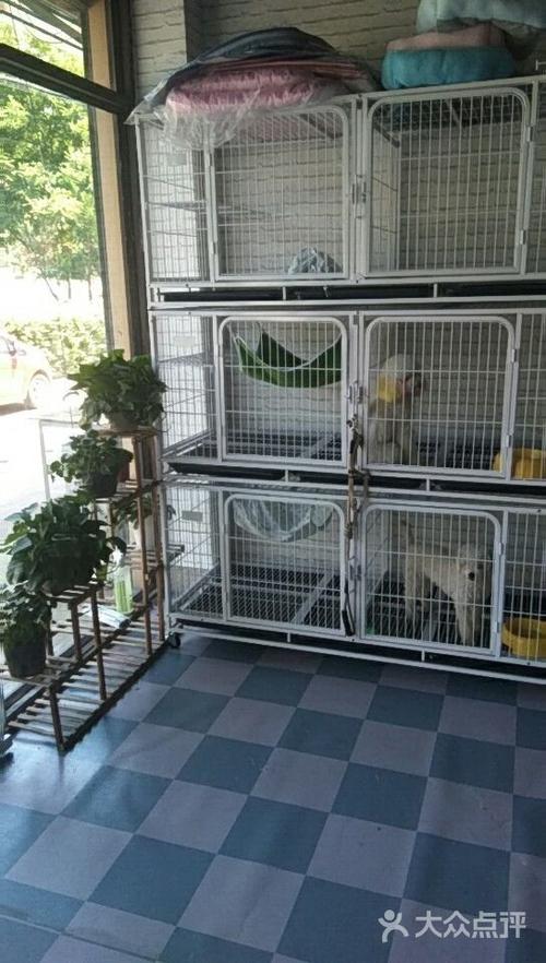 哆咪宠物截图