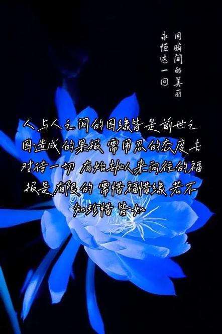 惜缘的名言截图