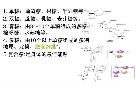 什么是糖链图标