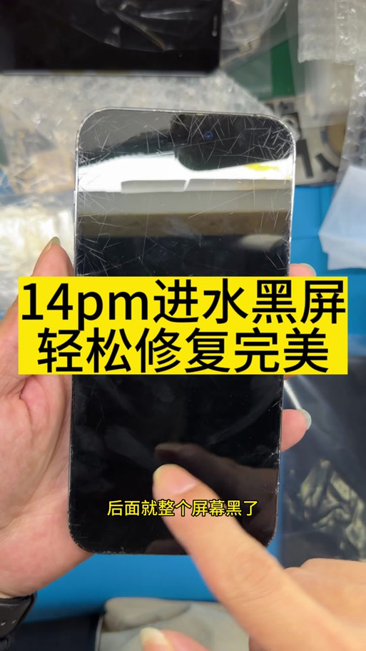 手机进水黑屏了能自己恢复吗图标