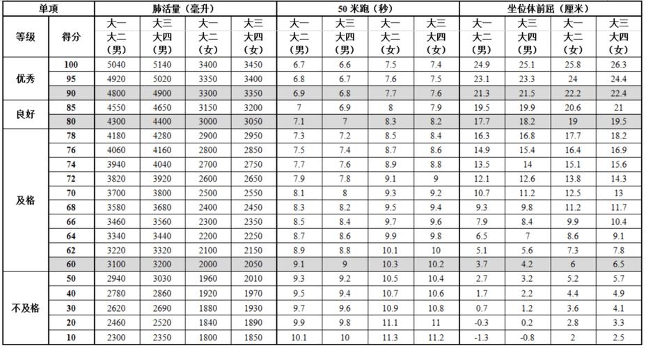 大学体测bmi对应分数图标