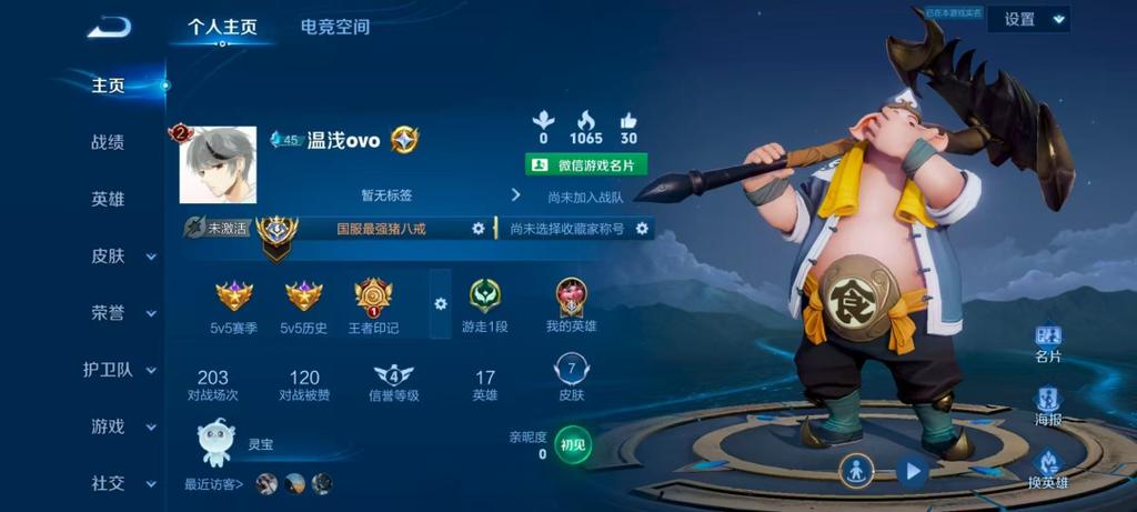 王者荣耀国服最强英雄图标