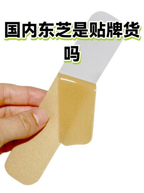 国内买的东芝是贴牌的吗截图