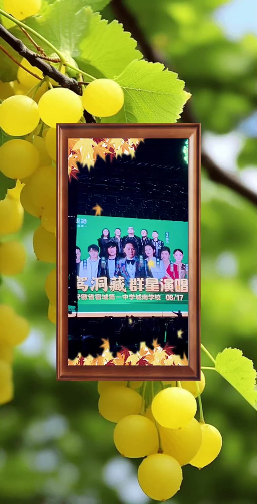 iron mic历届总冠军图标