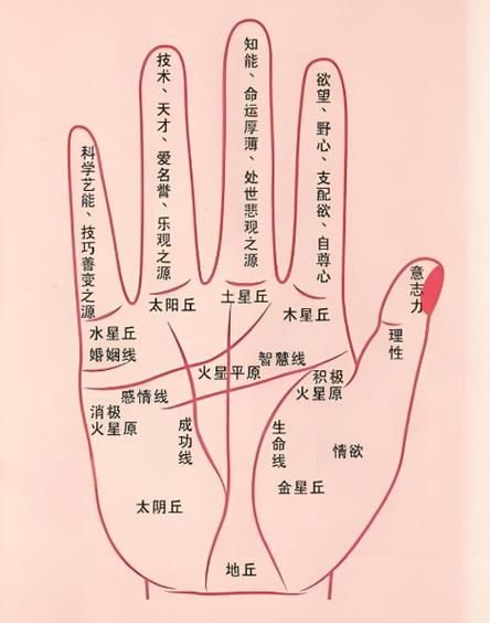 手指上的横线叫什么图标