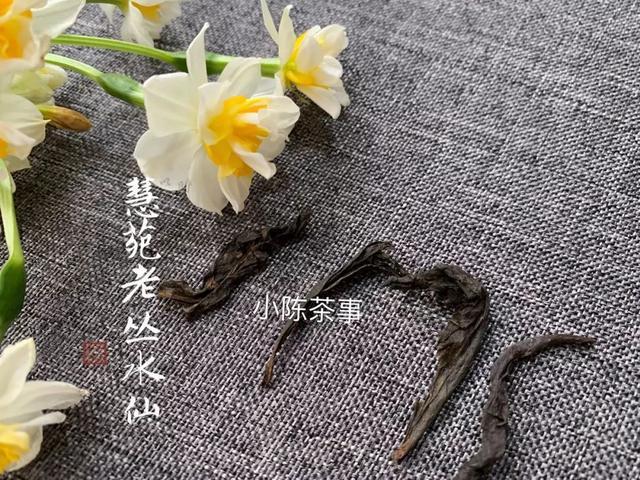 通感水仙海棠截图