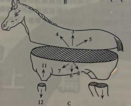 矢状是什么形状图标