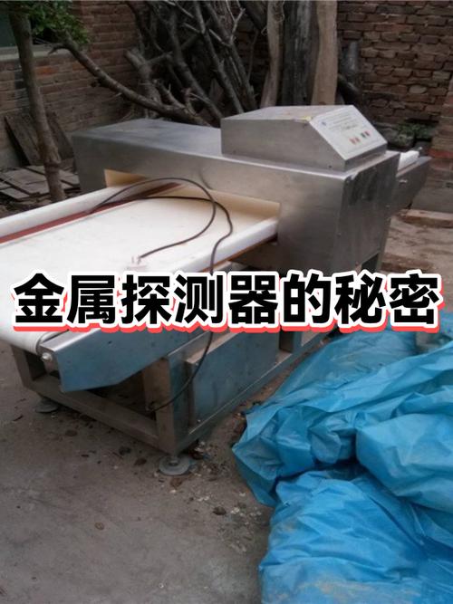 2米金属探测器价格图标