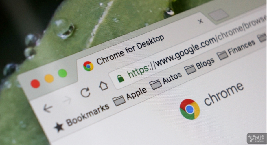 chrome自动播放视频图标