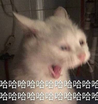 哈哈哈哈哈哈哈表情包图标