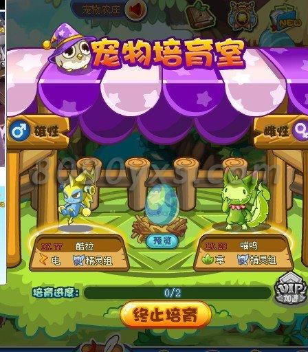 洛克王国电弧猫怎么得
