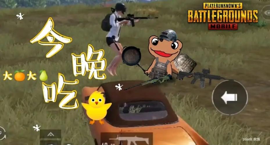 新手玩PUBG截图