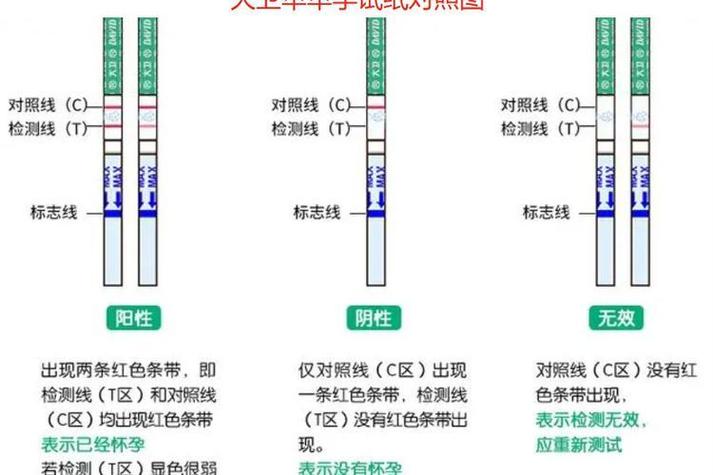 怀孕检测棒两条线图片一深一浅图标