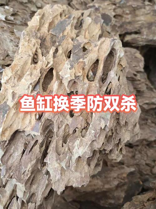 鱼缸双杀用什么药效果最好用