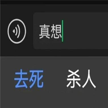真嗨皮是什么意思图标