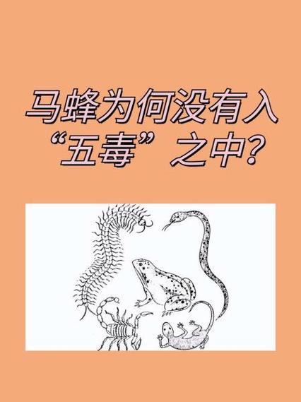 五毒之中谁是老大图标