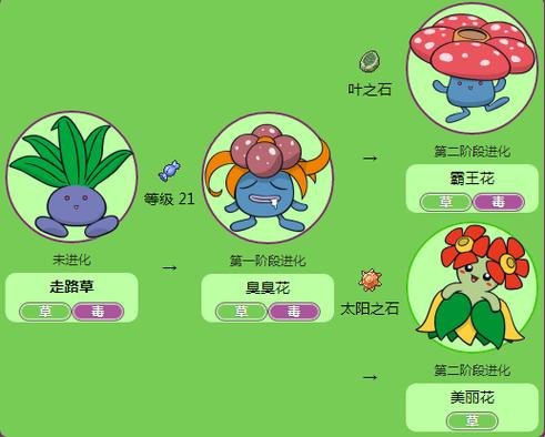 口袋妖怪手游图标