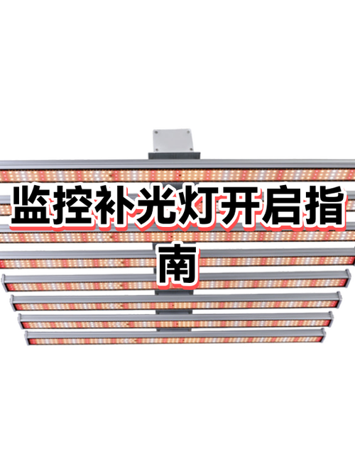 怎么让监控的灯亮截图