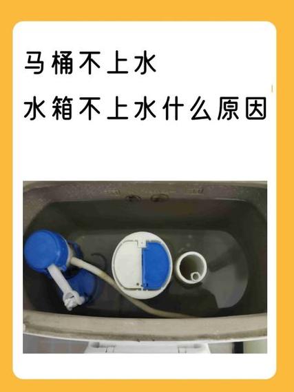 抽水马桶水箱有水冲不了