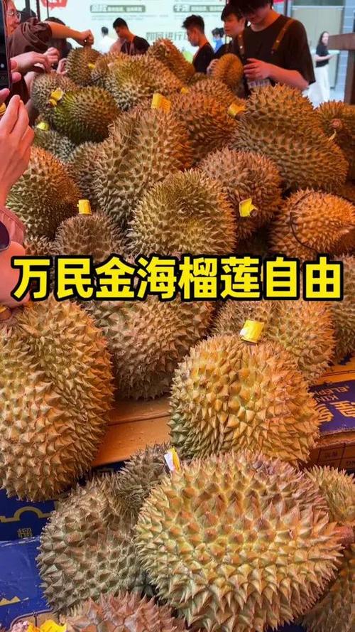 榴莲最火的一句图标