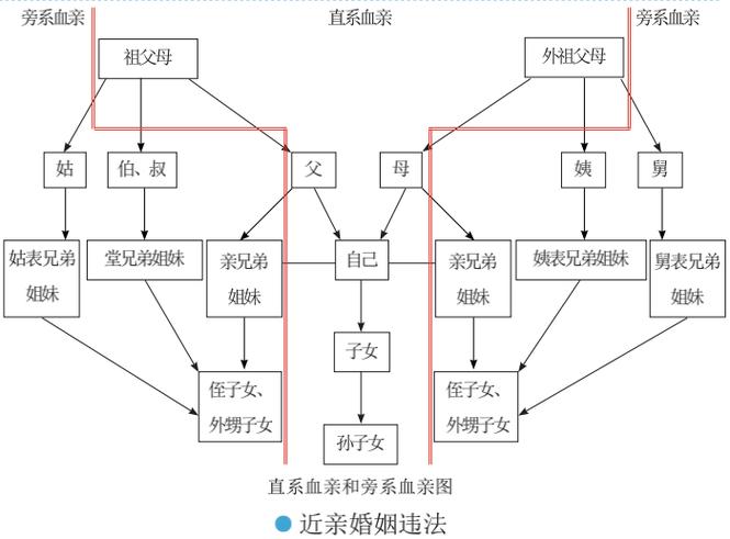 姻亲是什么亲属关系图标