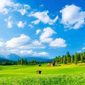 风景抖音头像图片图标