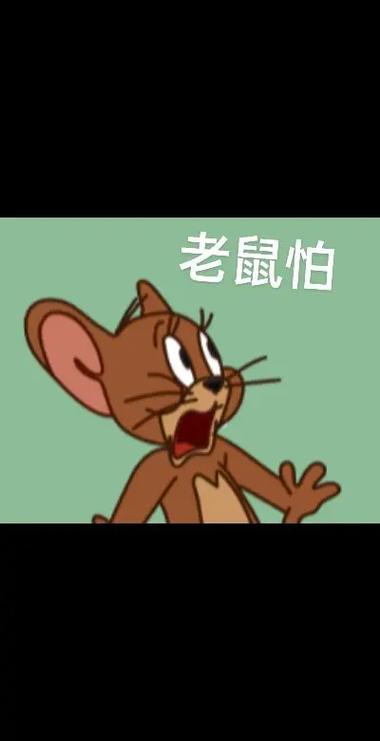 一只懒猫有啥可怕 视频图标