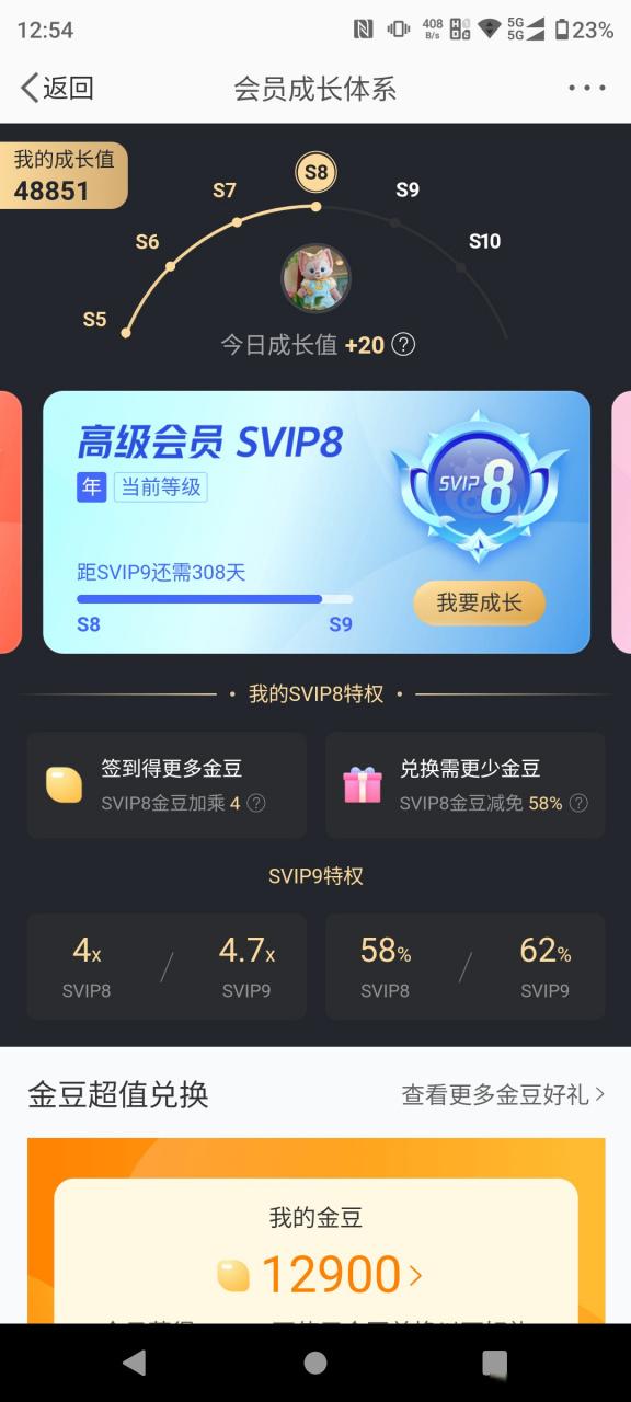 svip9要多少钱图标