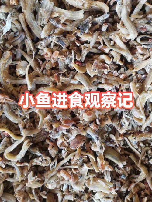 怎么喂鱼食都可以吃到截图