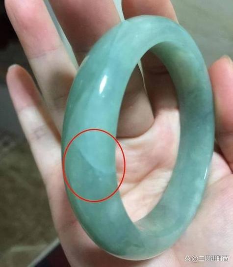 鹦鹉螺壳上面有裂纹图标