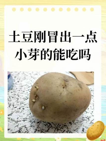 土豆冒了一点小芽能吃吗图标