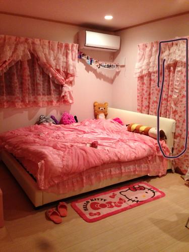 the room 汉化