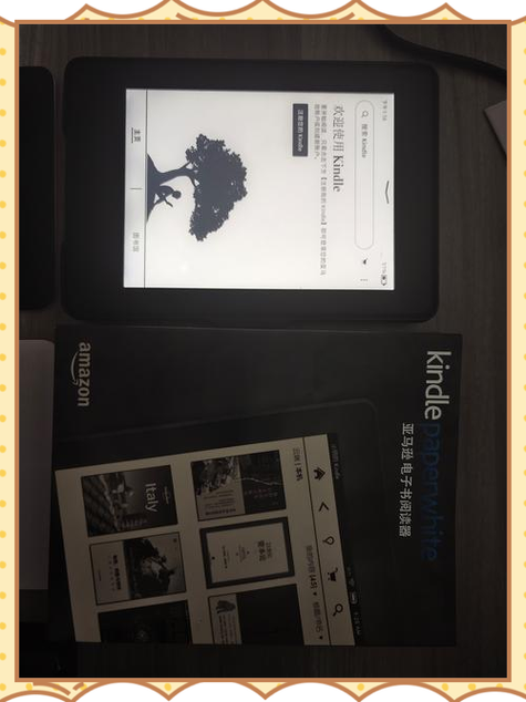 kindle海外版和国行的差别图标