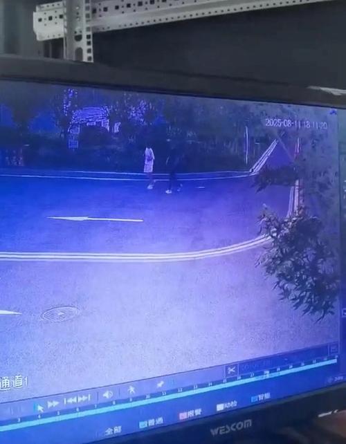 监控录像被覆盖能查吗图标