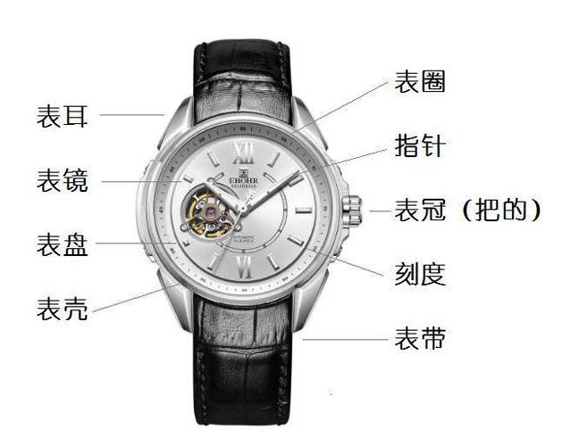 表带各个部位名称图图标