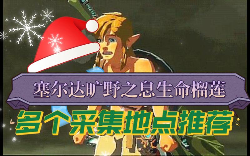 荒野之息 生命榴莲图标