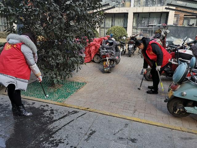 橄榄社区图标