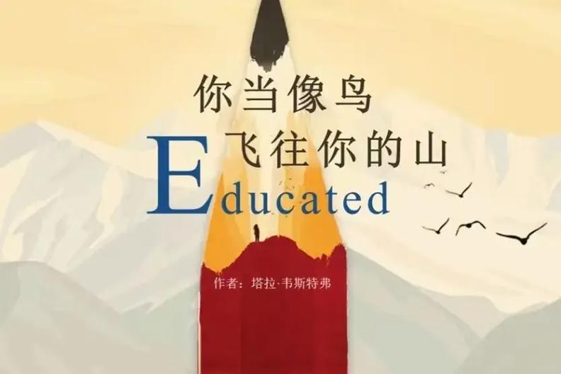 你当像鸟飞全文免费阅读截图