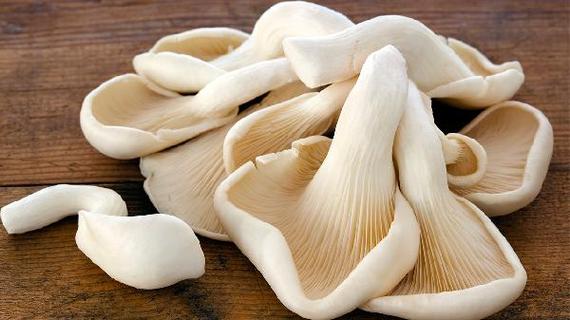 口蘑变黄就是变坏了?图标