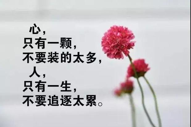 人生感悟的经典句子截图