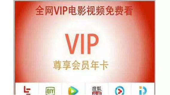 聚合vip视界家图标