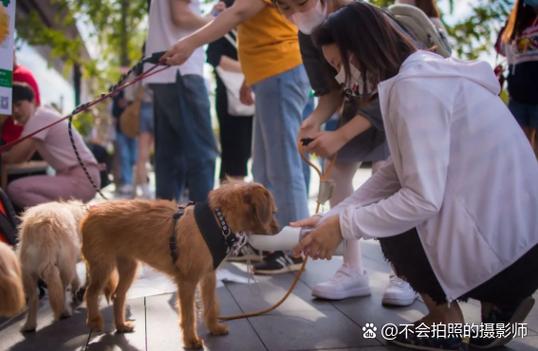 宠物健康公益截图