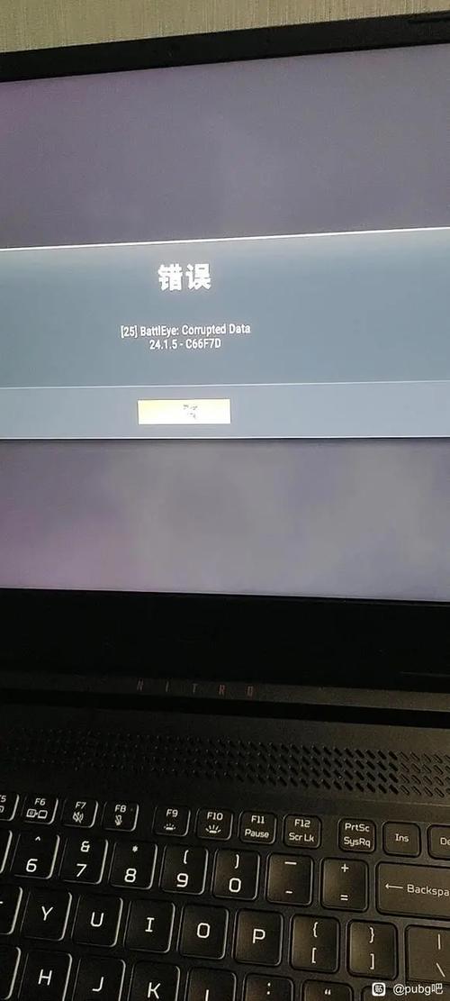 pubg游戏闪退图标